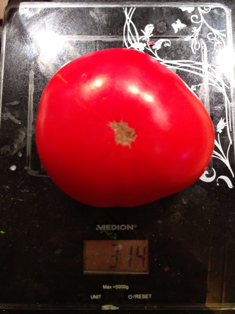 Peron Sprayless - GourmetTomater