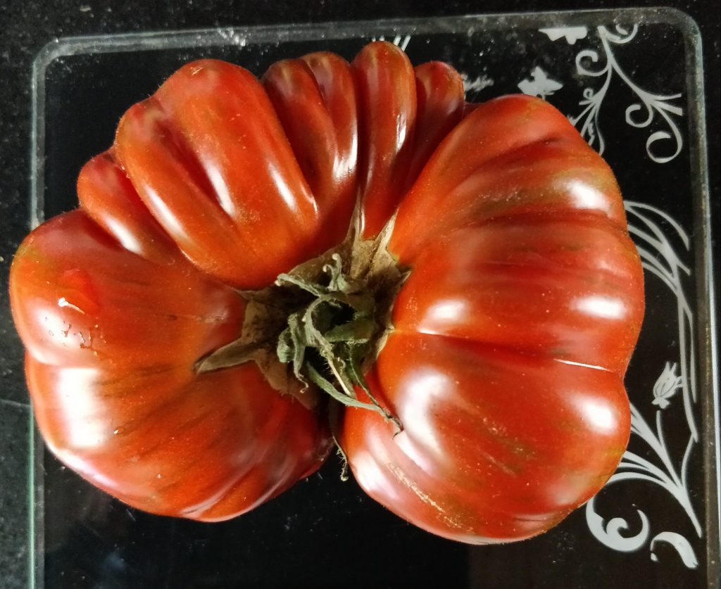 Chocolate Stripes - GourmetTomater