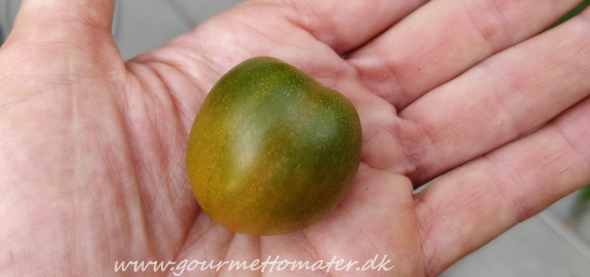 Evil Olive - GourmetTomater