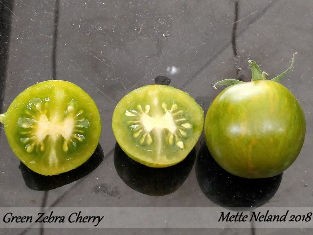 Green Zebra Cherry - GourmetTomater